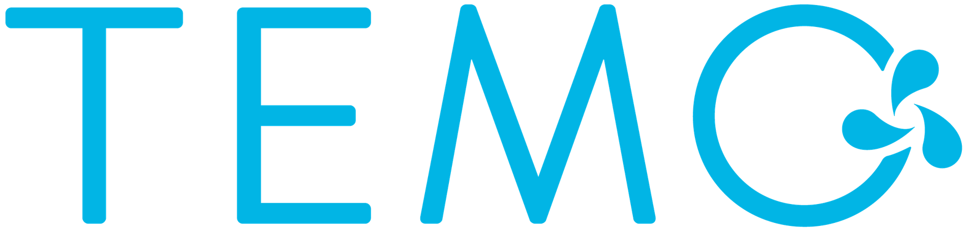 Login | TEMO Portugal